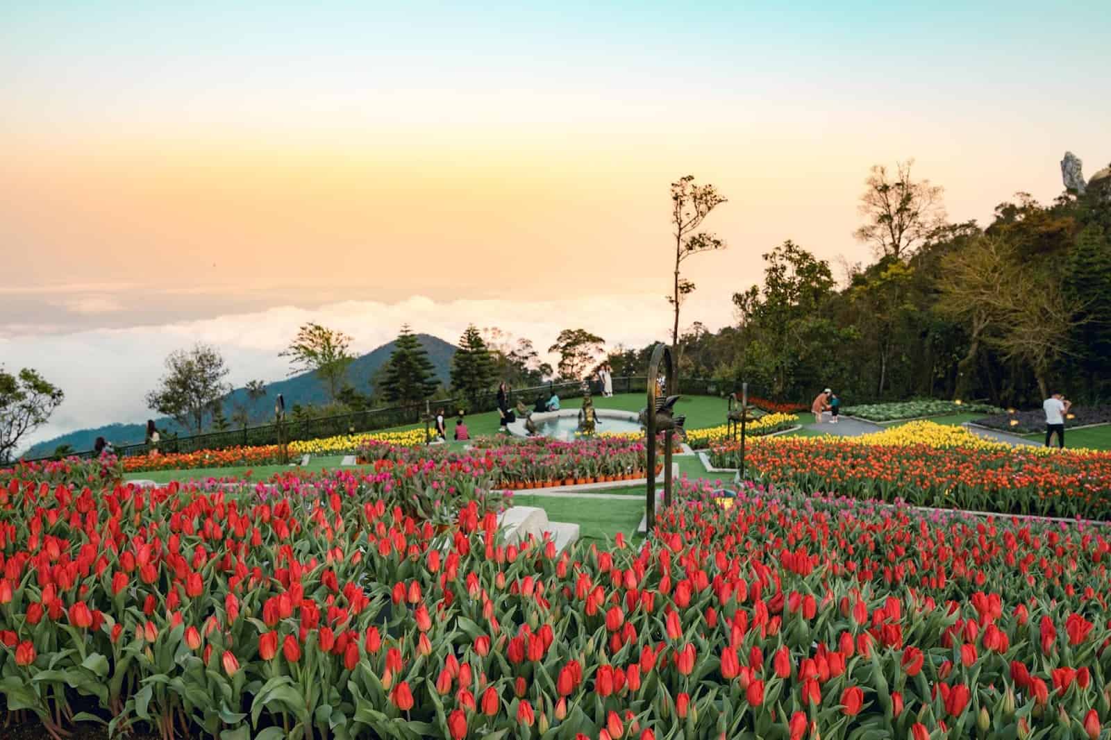 Le Jardin D’Amour - The Flower Garden of Bana Hills is as beautiful as ...